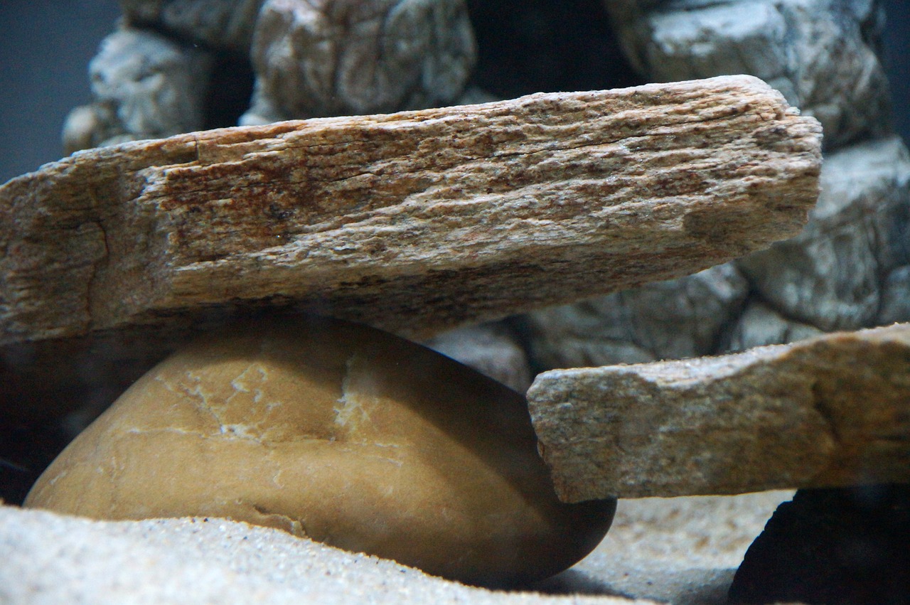 Common Beach Stones of the Northeastern Coast